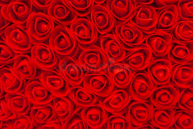 Many Red Small Roses Background. Texture, Pattern, Element for Design ...