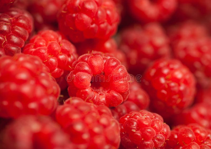 Rasberry background stock photo. Image of organic, group - 19412410