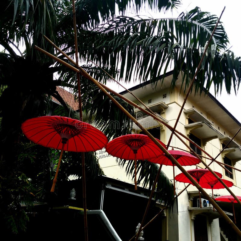 Many Red Umbrellar Stock Photos - Free & Royalty-Free Stock Photos from ...