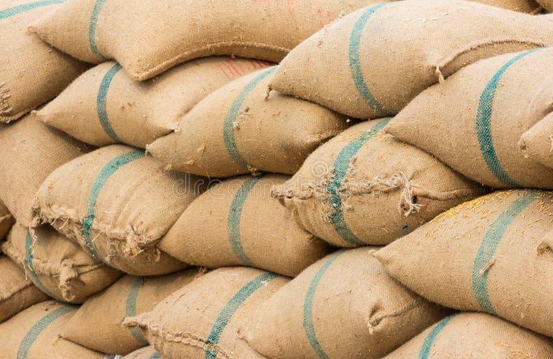 Many Rice Sacks in Row Perspective Stock Image - Image of rice, bagging ...