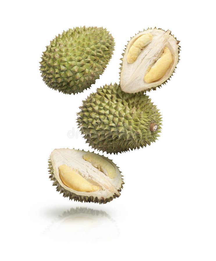 Many Ripe Durian Fruits Falling on White Background Stock Image - Image ...