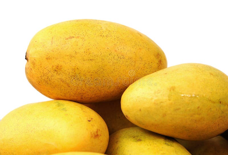 Many ripe mangoes stock image. Image of background, grains - 30565173