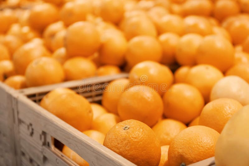Oranges in Plastic Mesh Sack Stock Photo - Image of container ...