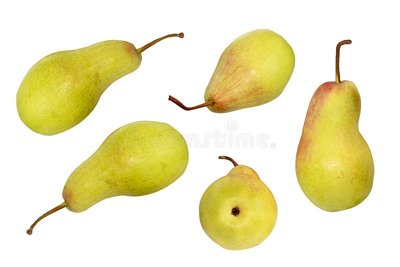 Many Ripe Pears Isolated on White Stock Image - Image of dietary ...