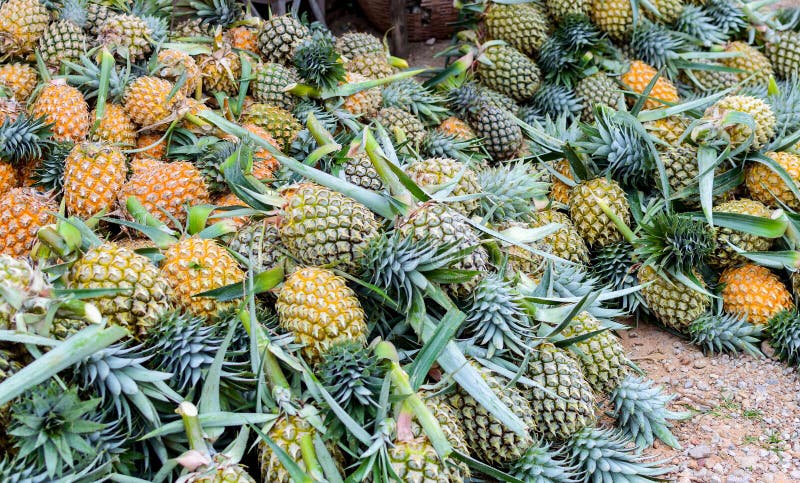 Many Row of Pineapple at Market Stall Stock Photo - Image of dieting ...