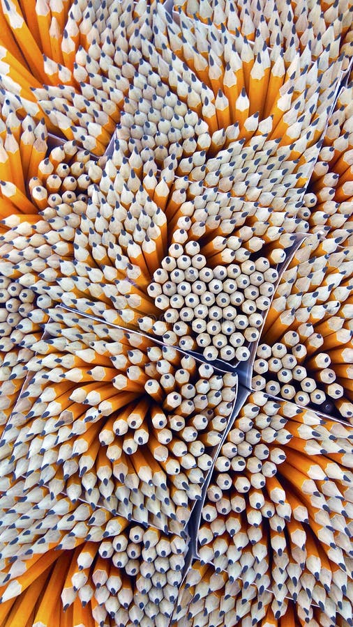 Many of the same pencils. stock photo. Image of closeup - 92236768