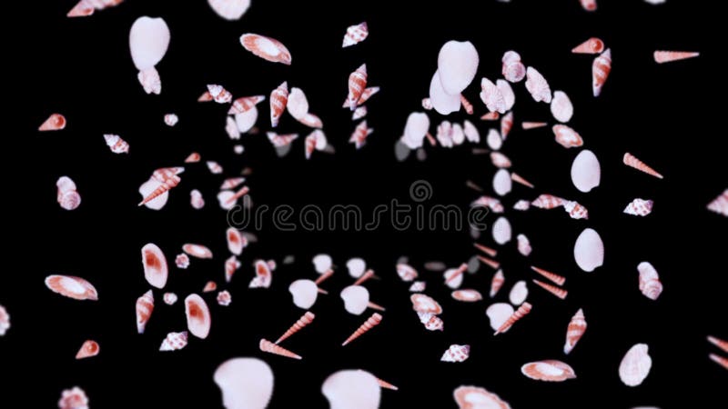 Flying Many Sea Shells on Black Background. Collection of Realistic ...
