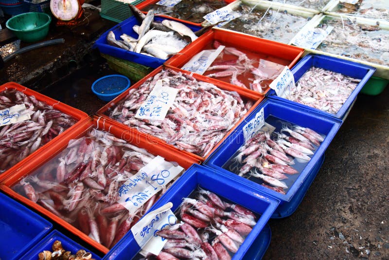 Many seafood stock image. Image of fish, market, prawn - 53457399