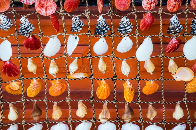 Many Seashells Hanging on Net Stock Photo - Image of colorful, spiral ...