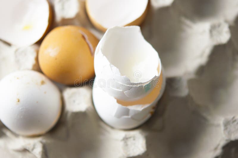 Many Shell Egg Scattered in a Cardboard Package Made of Recycled Waste ...