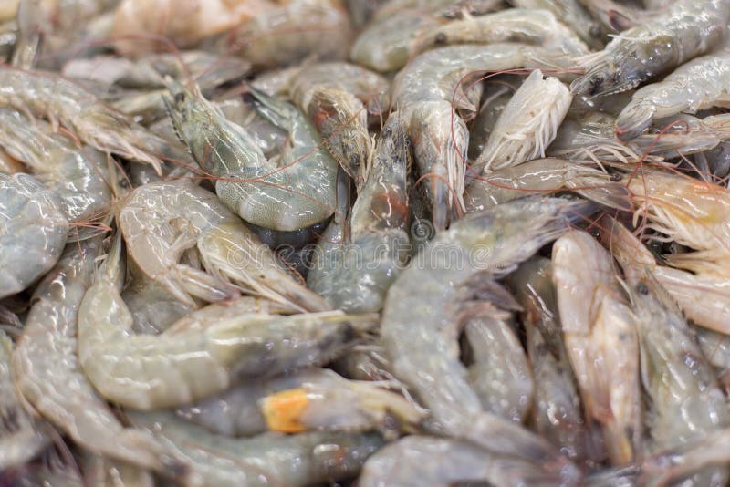 Many Shrimp or Prawn on the Water Tank at Street Food Market Stock ...
