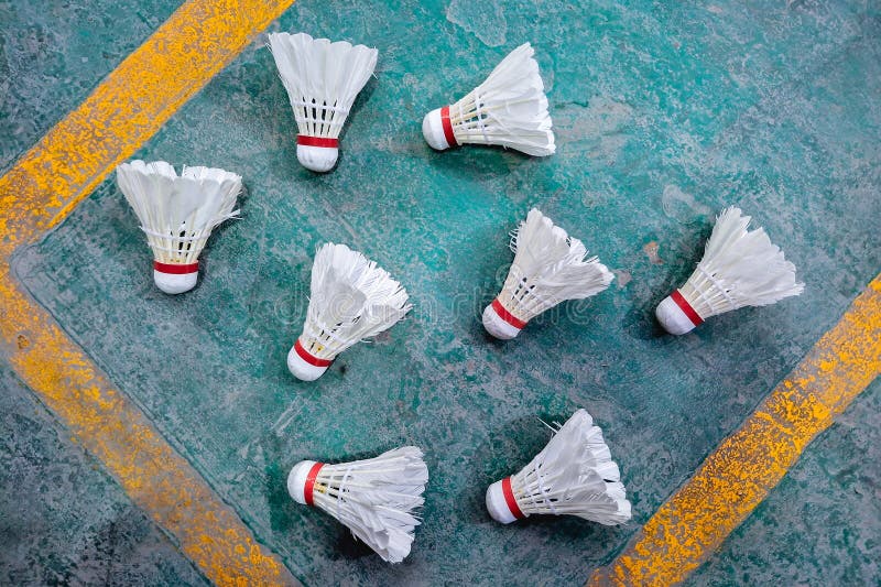 Many Shuttlecock on Court stock photo. Image of tools - 349072788
