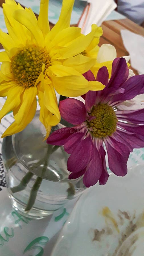 Many Size and Color of Flowers Stock Photo - Image of white, functions ...