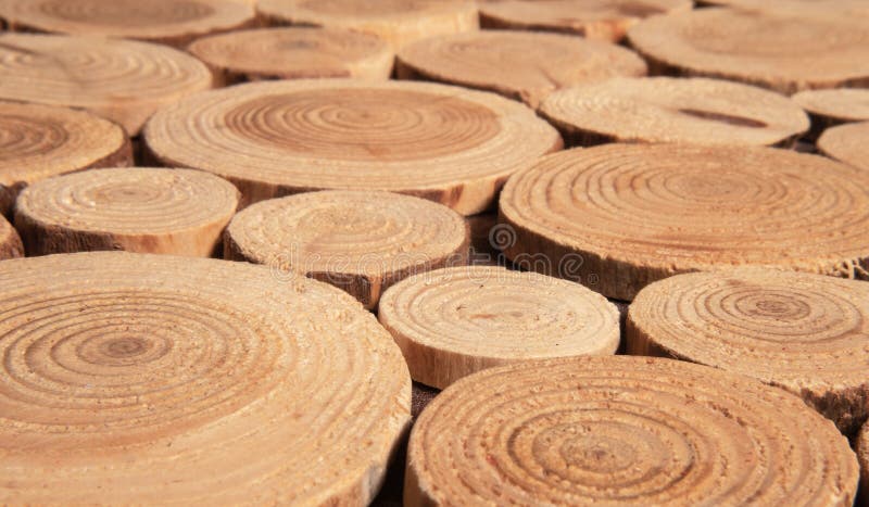 Tree Ring Pattern. Perspective Close Up. Stock Photo - Image of ...