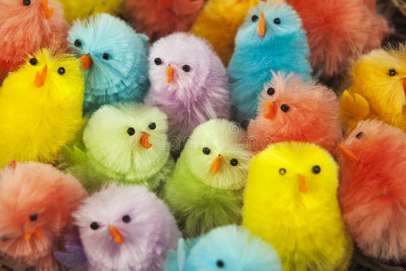 Colorful easter chickens stock image. Image of baby, yellow - 29969997