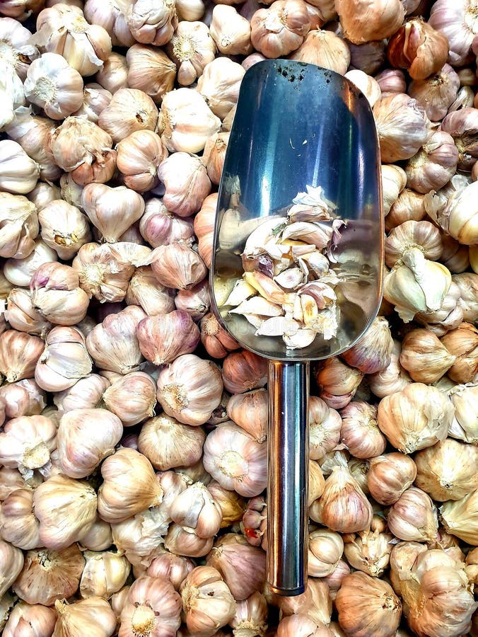 Many Small Garlic in Baskets Stock Image - Image of closeup, healthy ...