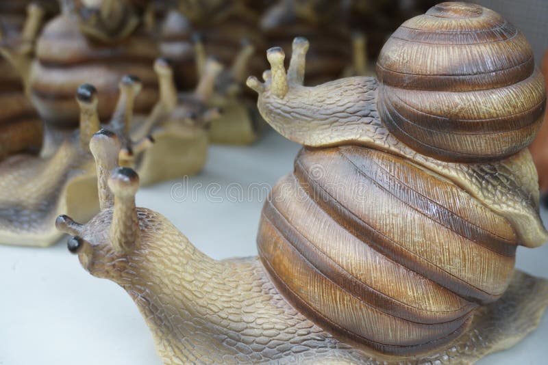 Many Snails on the Edge of a White Plastic Bowl Stock Image - Image of ...
