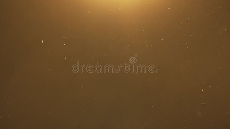 Many Sparkling Metallic Glitters Floating in Golden Light on Empty ...