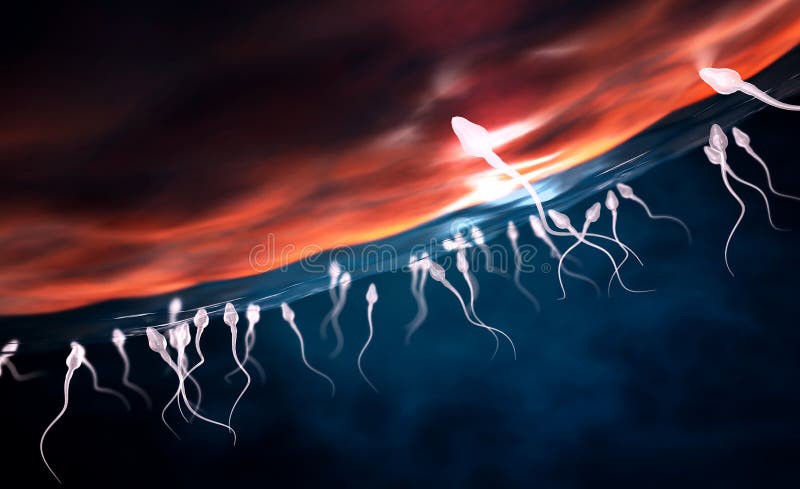 Many Sperm Cells, Slightly Transparent, Scientifically Correct Moving ...