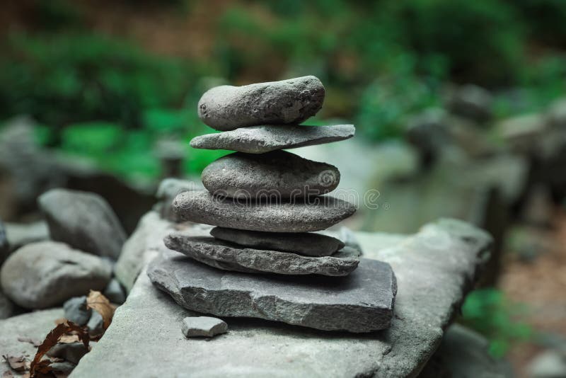 Many Stacked Stones Near Plants in Forest Stock Photo - Image of calm ...