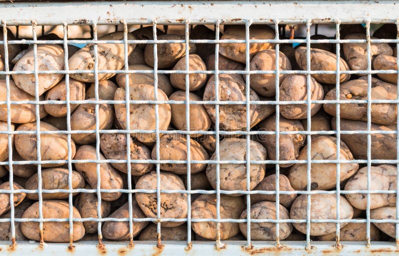 The stone in Grating stock photo. Image of mesh, shape - 101476664