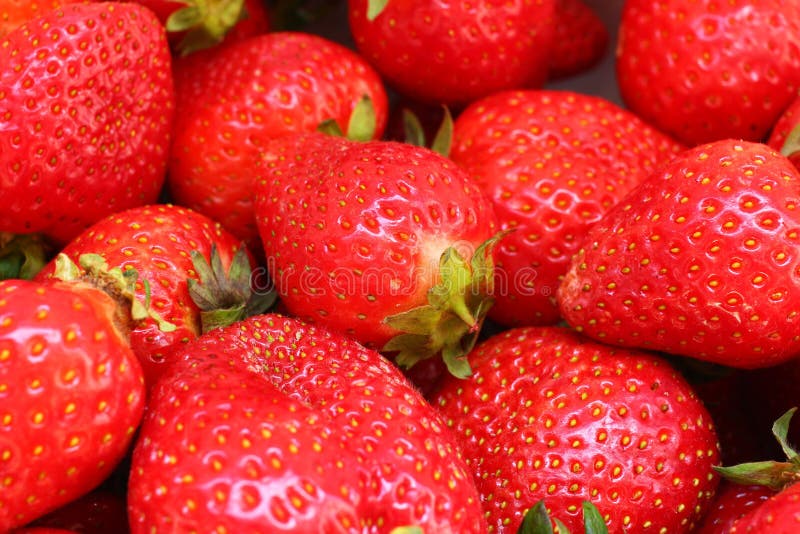Many Strawberries are Full Screen Stock Photo - Image of closeup, juicy ...