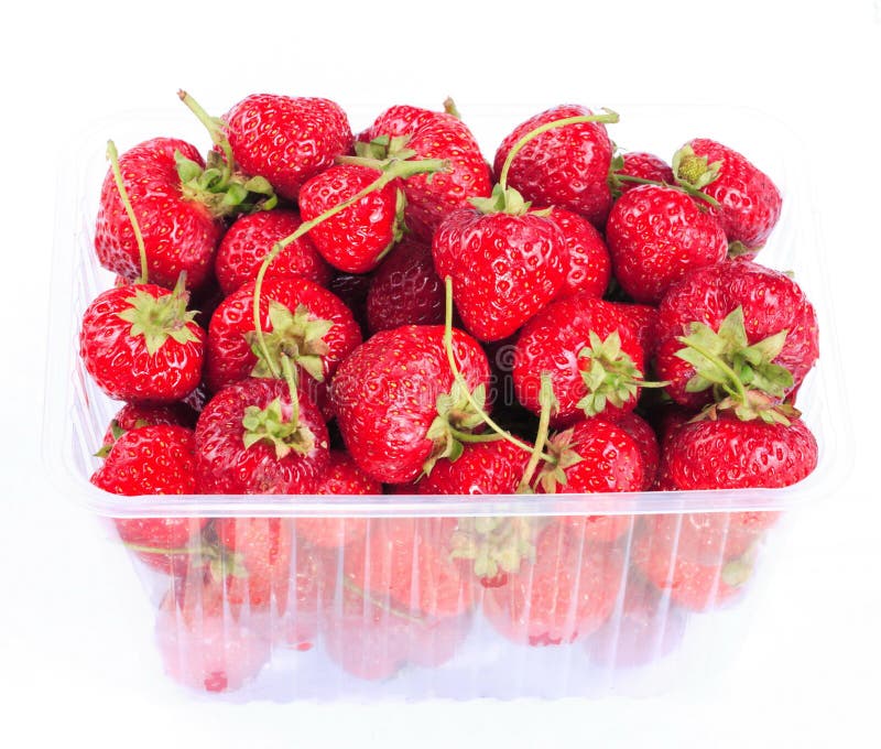 Many Strawberry Berries are Flowers. Stock Image - Image of field ...