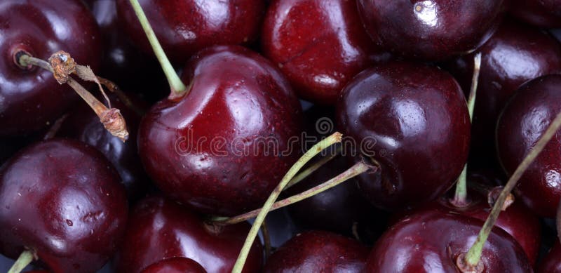 Many sweet cherry at day stock photo. Image of sweet - 117496028