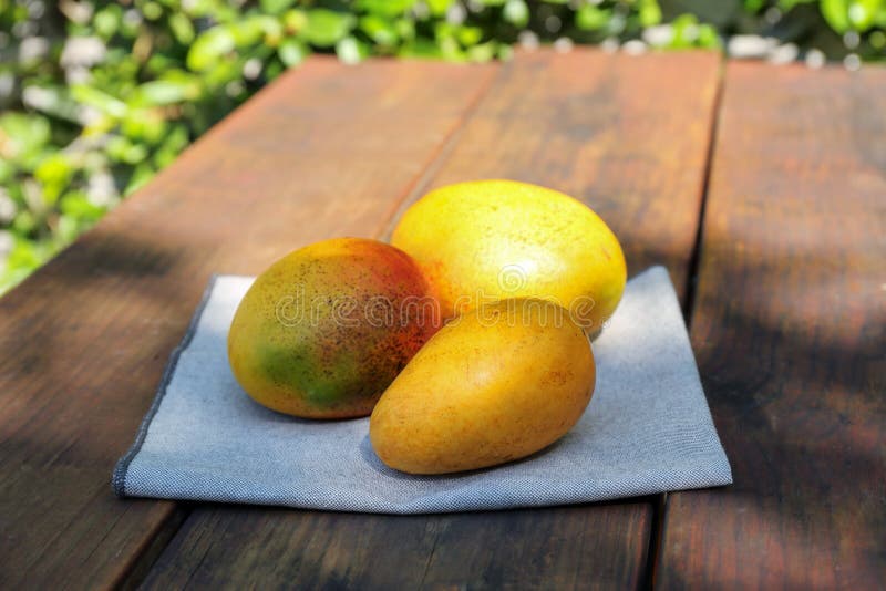 Many Tasty Mango Fruits on Wooden Table Outdoors Stock Photo - Image of ...