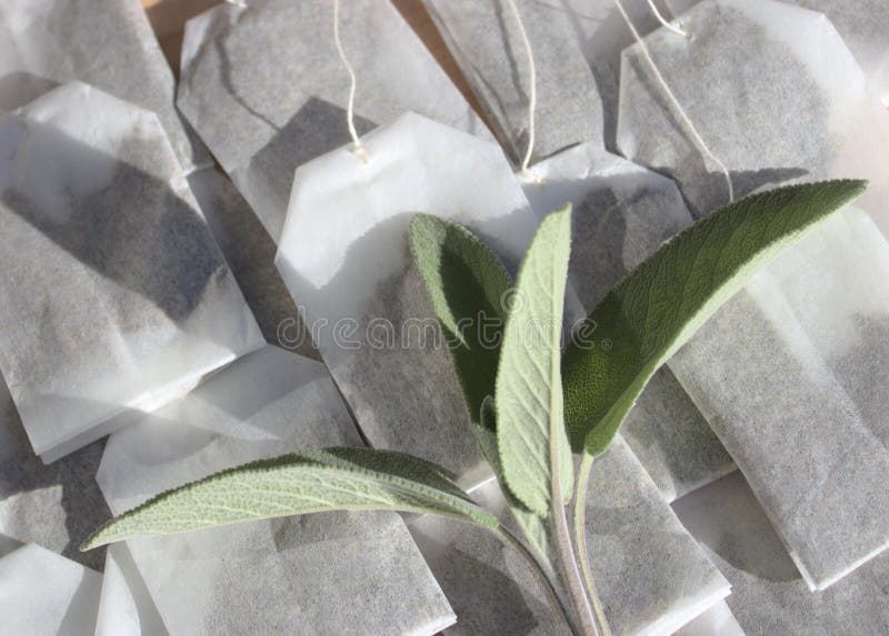 Tea bags and sage stock photo. Image of sage, plant - 235582566