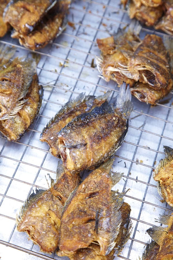 Many thai fish fried stock photo. Image of plate, fresh - 41034862