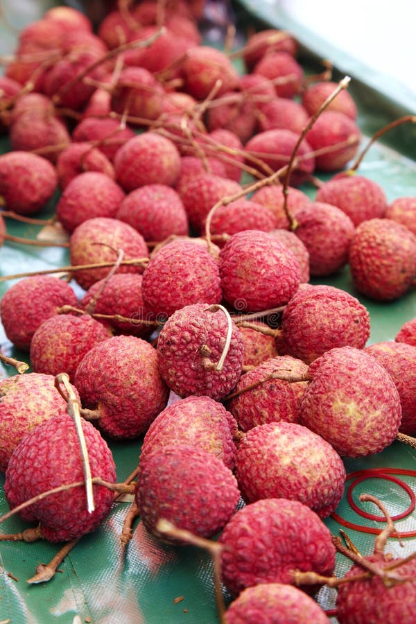 Thai Lychee stock photo. Image of litchi, asian, thailand - 41348506