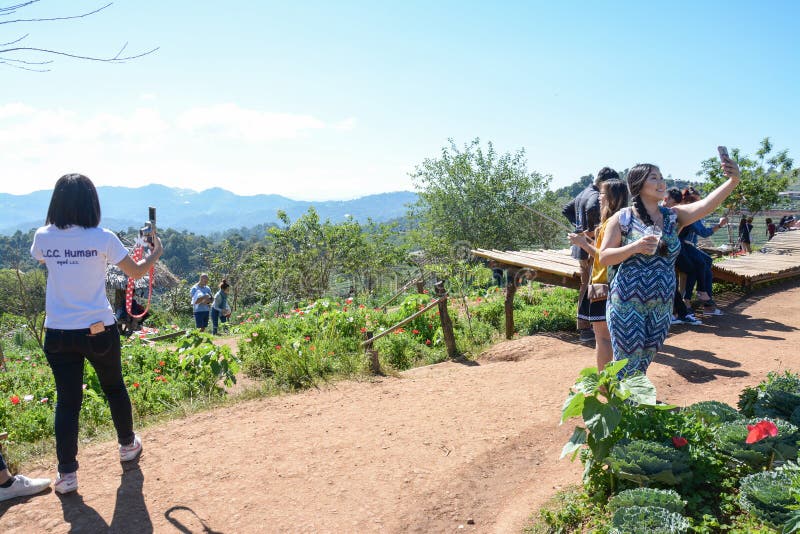 Many Tourists Visit `Mon-Jam` in Chiang Mai,Thailand Editorial Photo ...