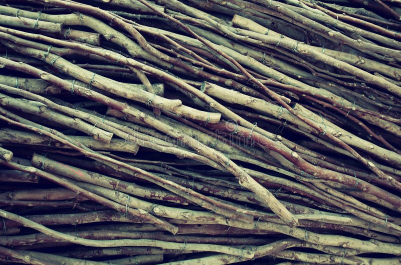 Many Tree Branches Creating Natural Pattern. Retro Filtered Stock Photo ...