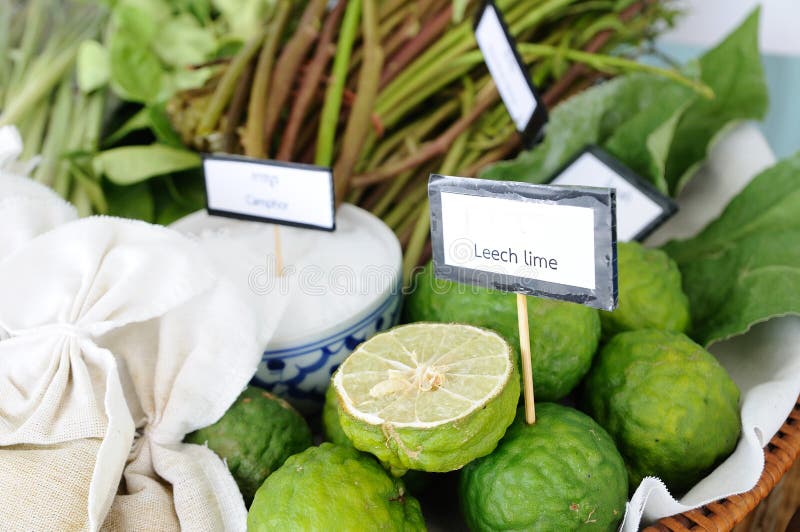 Many Type of Thai Herbs for Spa. Stock Photo - Image of care, food ...