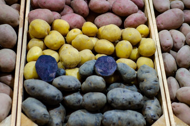 Many Types of Potatoes for Sale Stock Photo - Image of healthy, grocery ...