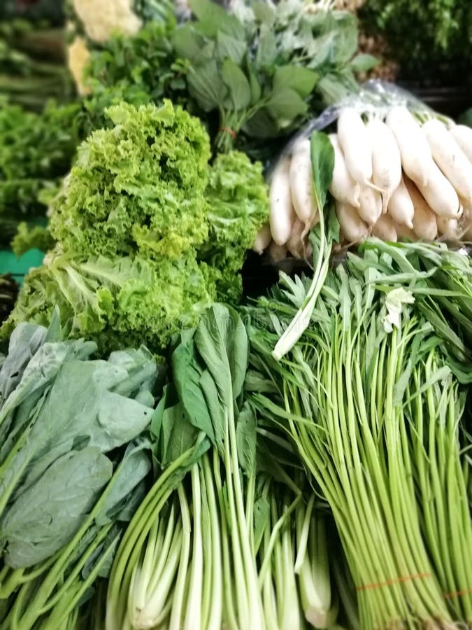 Many types vegetables stock photo. Image of fresh, vegetables - 114675354