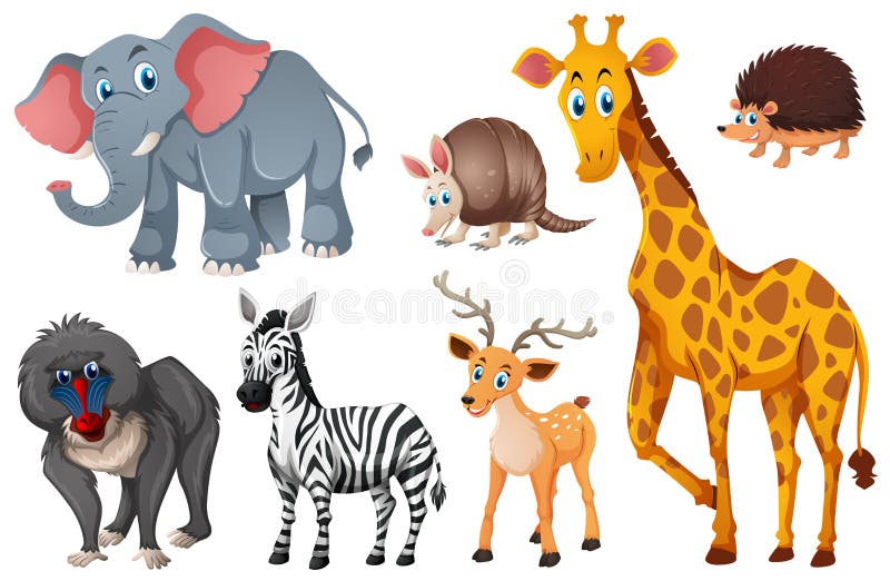Many types of wild animals stock vector. Illustration of elephant ...