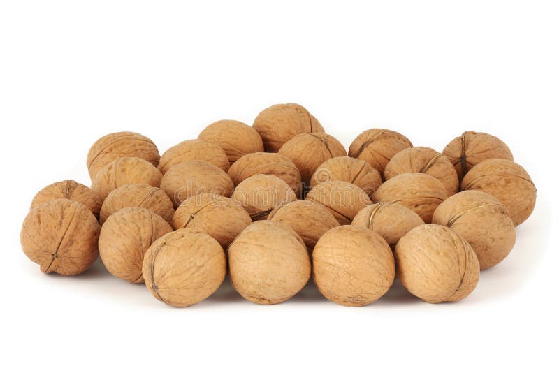 Many walnuts stock image. Image of rough, stack, heap - 29389649