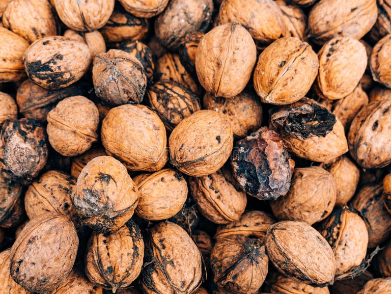 Many Walnuts. Nuts in a Box Stock Photo - Image of nutrition, healthy: 90514884