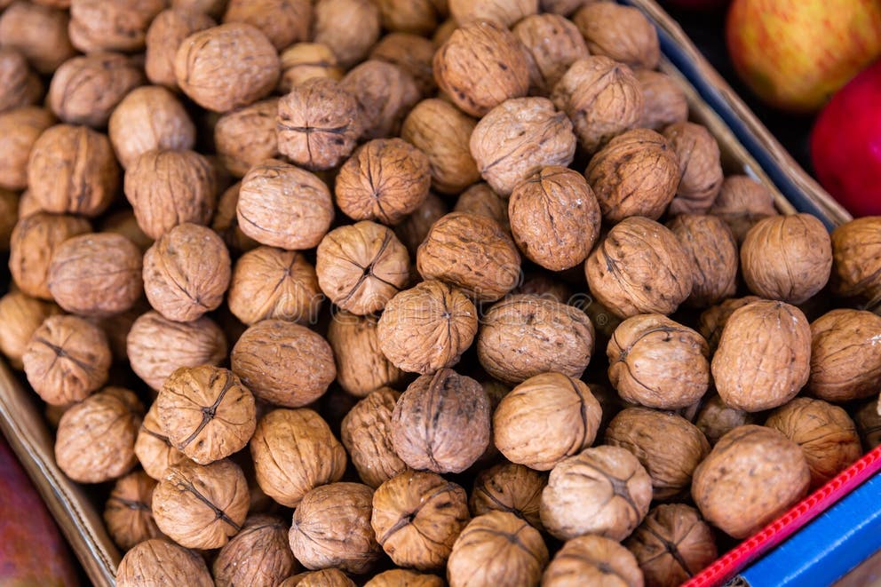 Many Walnuts. Nuts in a Box Stock Photo - Image of view, food: 373952800