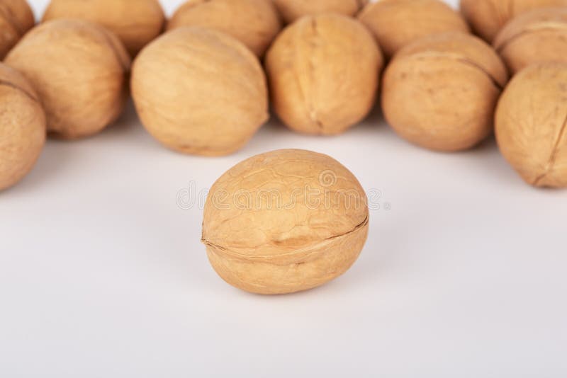 Many Walnuts on a White Background One Nut Lies Separately Stock Image ...