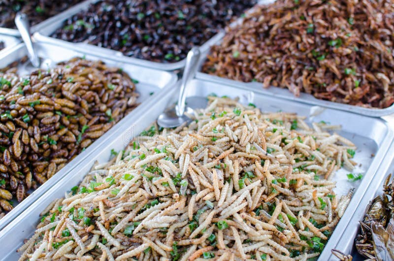 Worm fried stock image. Image of bugs, insect, bamboo - 31535139