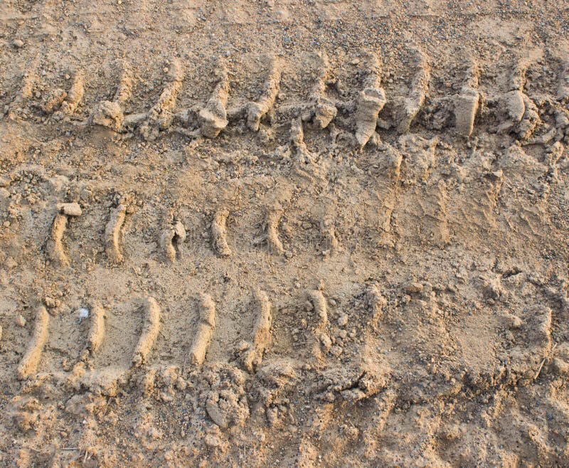Many wheel tracks stock image. Image of automobile, soil - 31651341