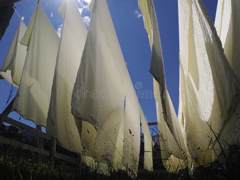 248 Sheets Drying Sun Stock Photos - Free & Royalty-Free Stock Photos ...