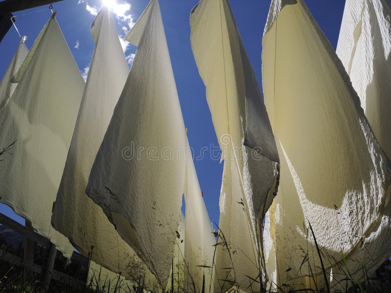 Many White Bed Sheets Drying To the Sun Stock Photo - Image of wash ...