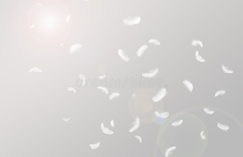 Many White Bird Feathers Floating in the Sky. Fluffy Downy, Softness of ...