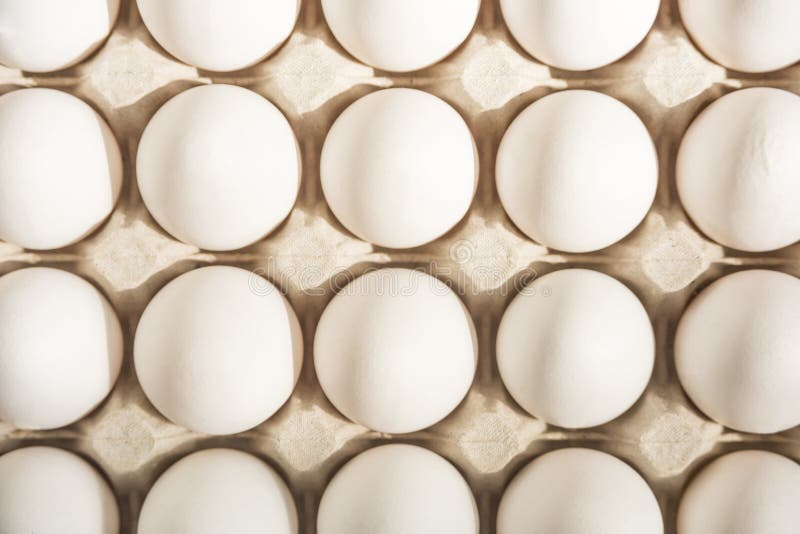 Many Intact Eggs and One Broken Egg Shell with Visible Egg Yolk ...