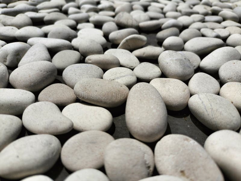Many White Stones in the Yard, Making the Scenery Beautiful? Stock ...