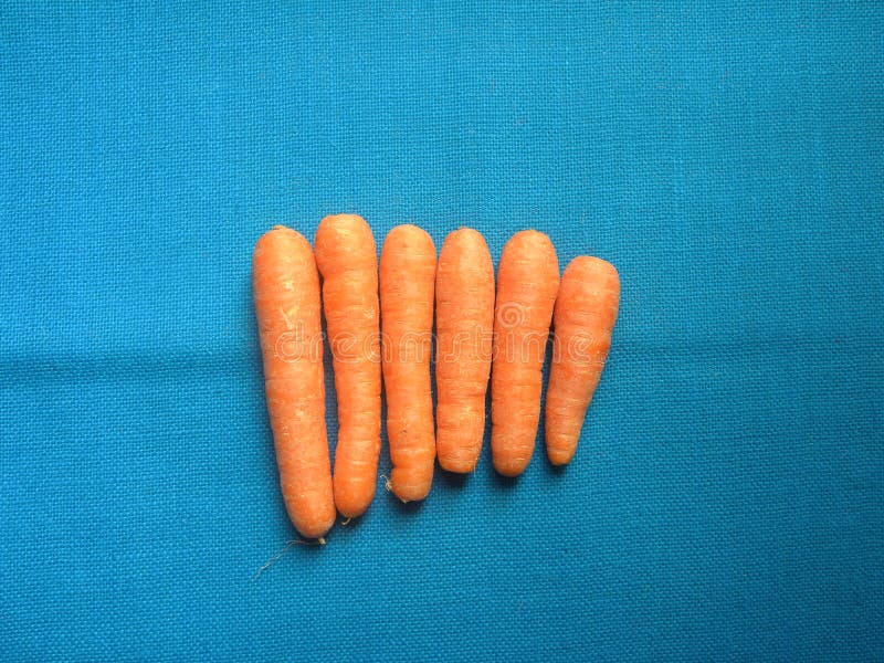 Many whole Carrots stock photo. Image of color, daucus - 189289510